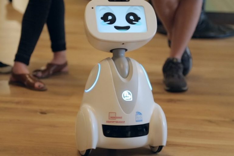Le robot français connait un succès grandissant dans le monde